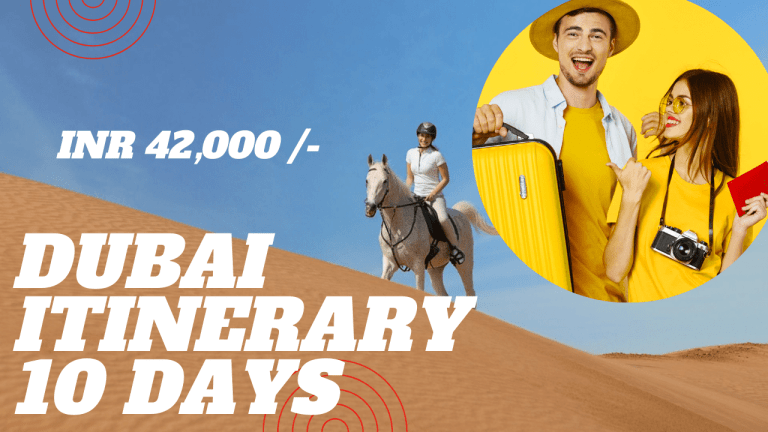 DSF Offers - Best Deals